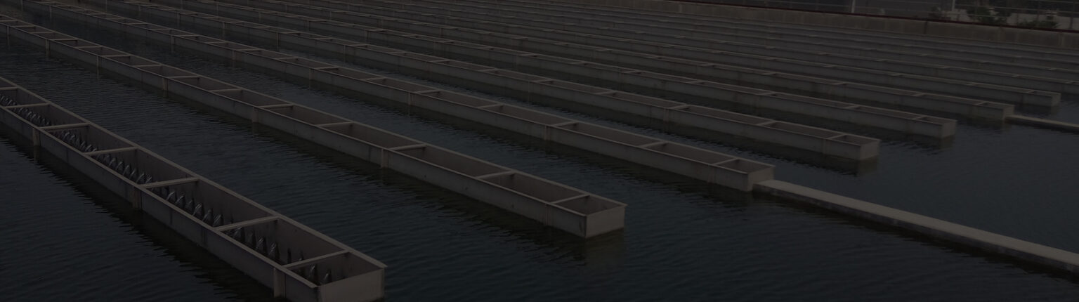 Condensate Polishing Unit(For Ethanol Manufacturing Unit ) - Ionberg